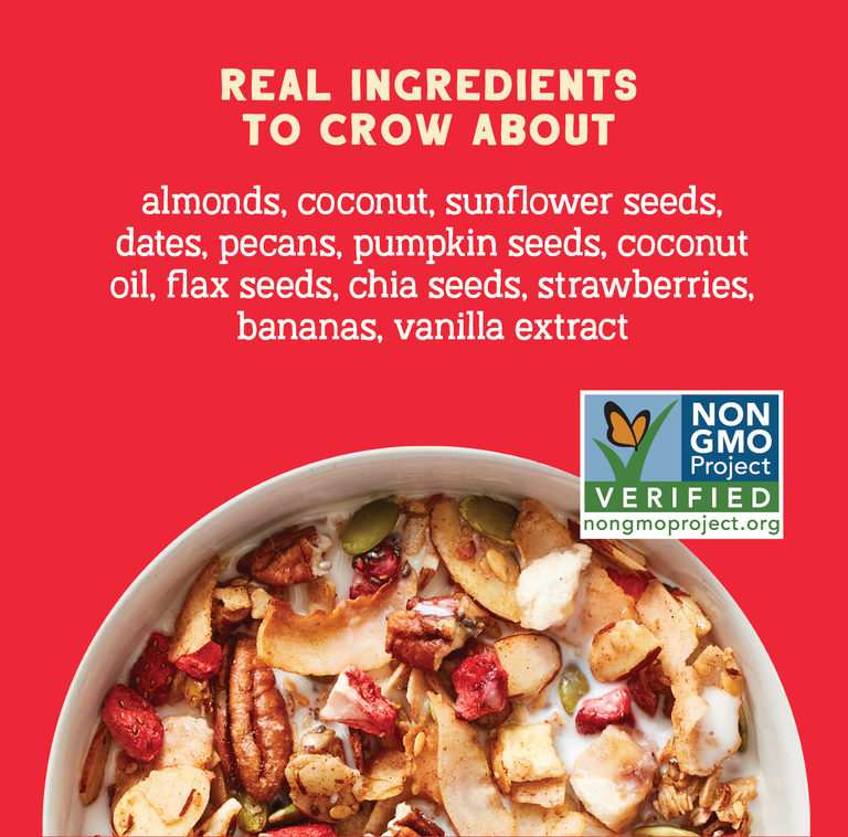 Rise & Shine Strawberry Banana Grain-Free Granola, 8oz – Seven Sundays